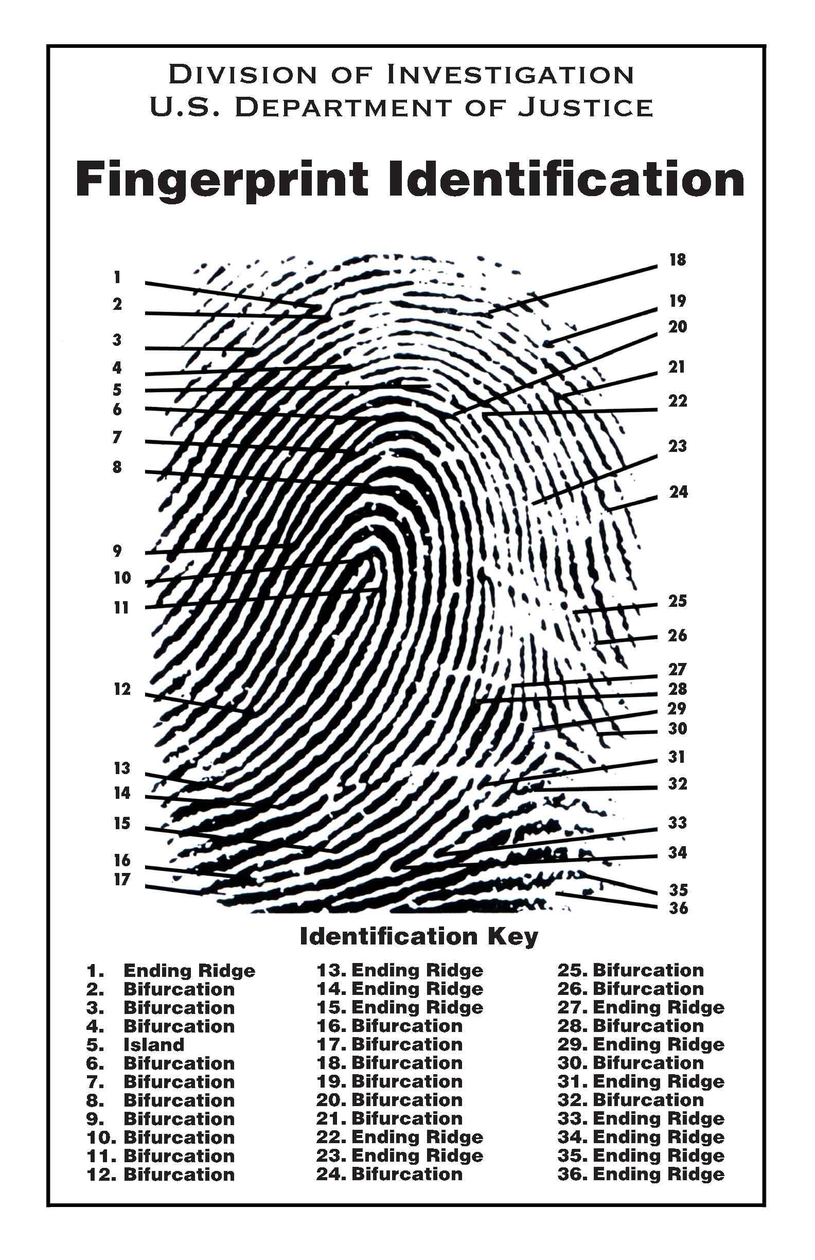 Fingerprinting with Ink - ForensiKit by Crime Scene